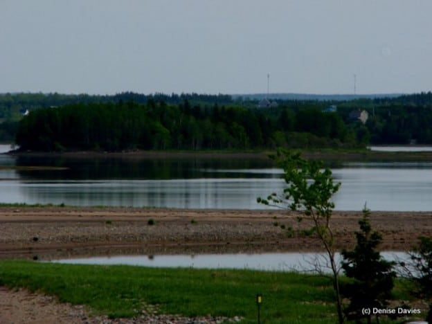 Antigonish Beaches along Saint George's Bay