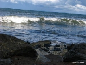 Antigonish Beaches along Saint George's Bay