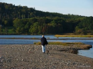 Antigonish Beaches along Saint George's Bay